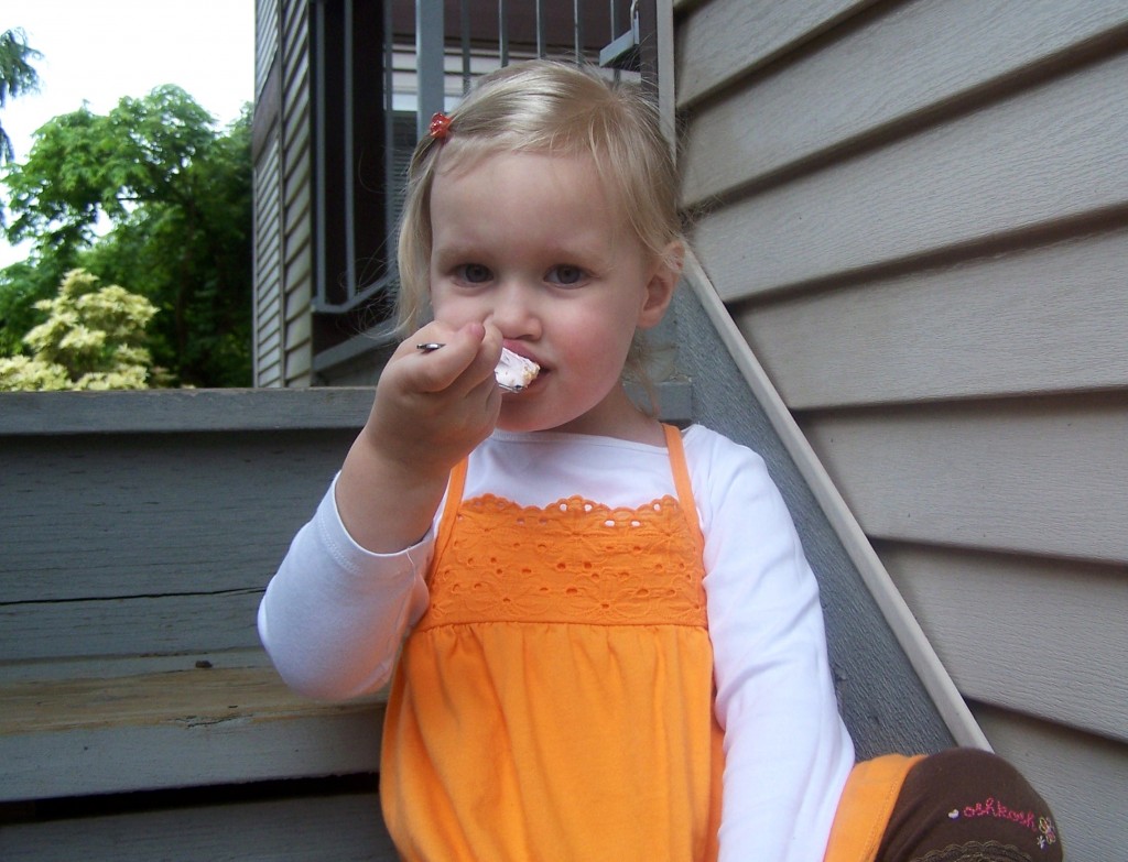 Raspberry Chia Cheesecake