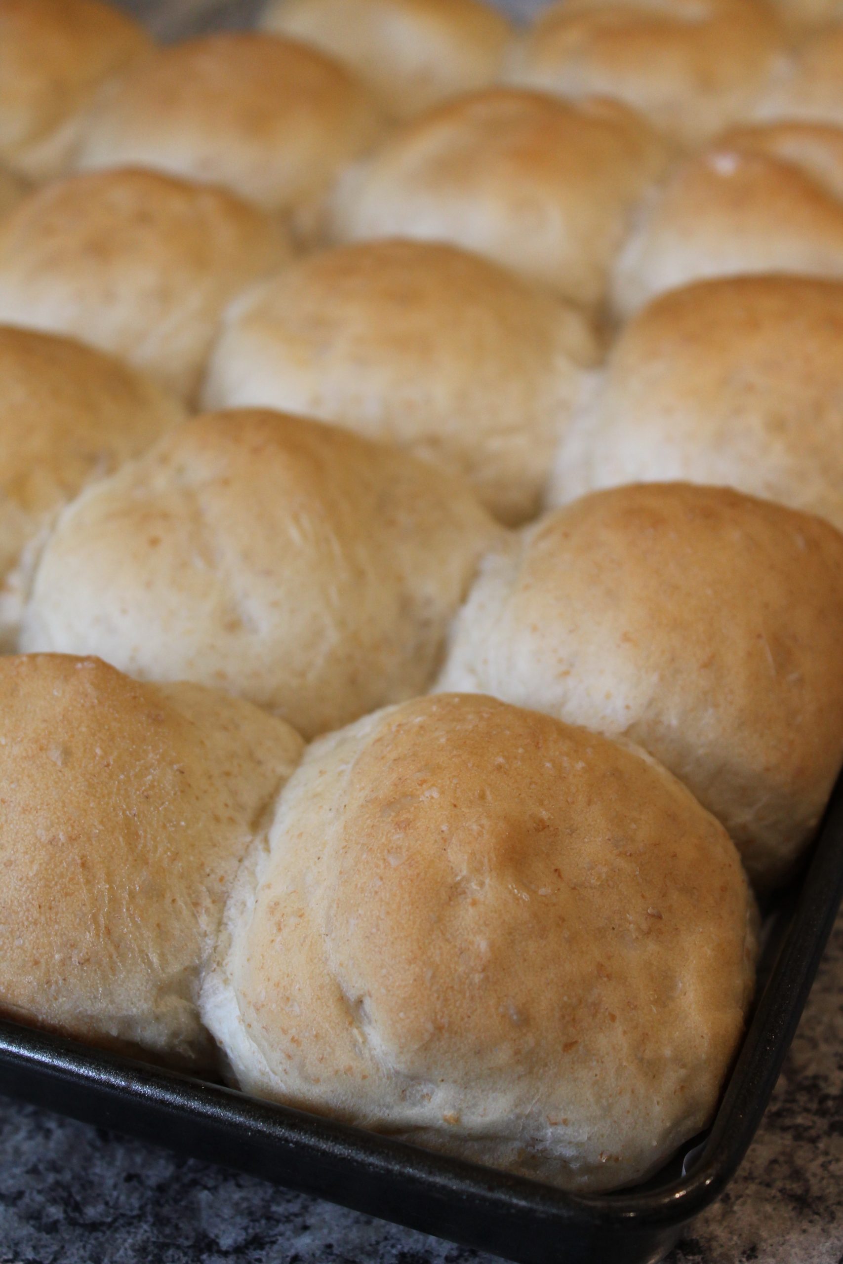 Easy Two-Hour Homemade Rolls